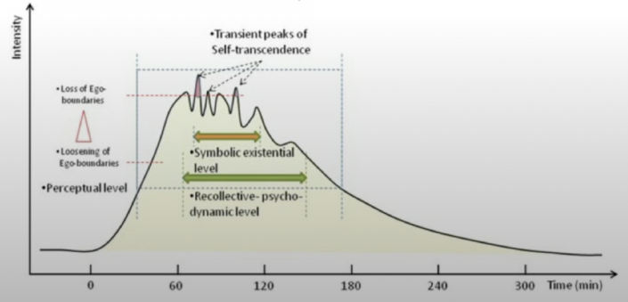 What is a Psilocybin Experience Like? - Maps of the Mind