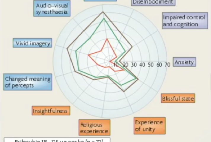 What is a Psilocybin Experience Like? - Maps of the Mind